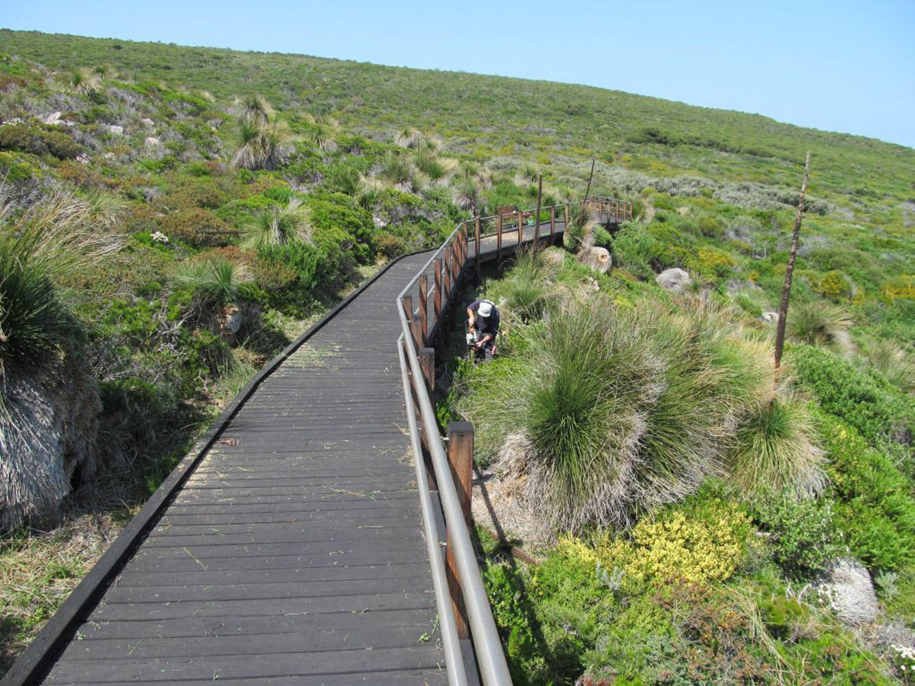 Busselton Naturalists Club – Busselton Naturalists Club